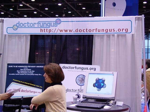 About Us - Doctor Fungus