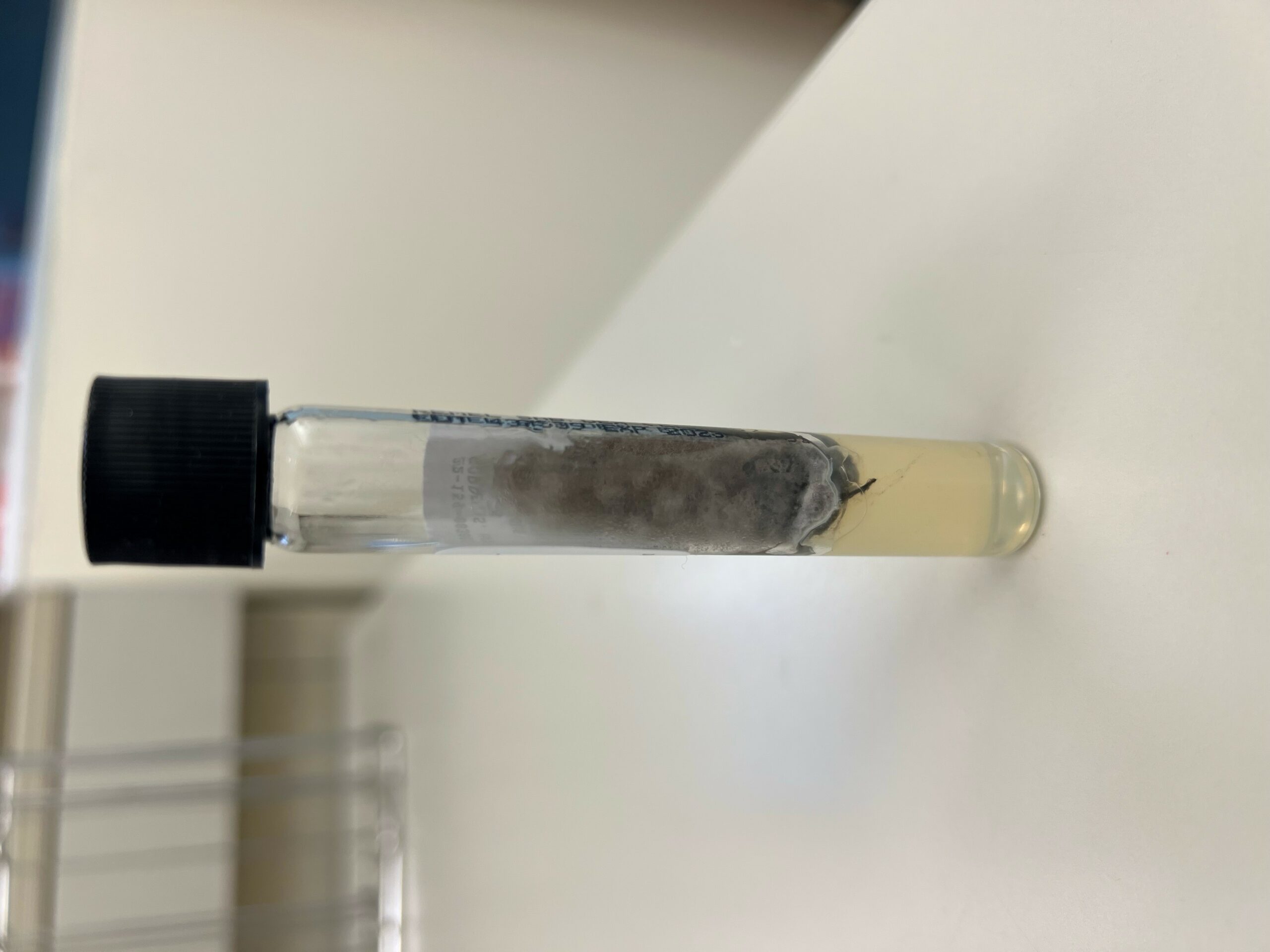 Figure-1 - Doctor Fungus